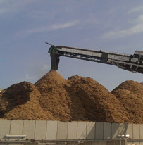 Stockpiling Biomass Case Studies