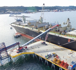 TB58 Radial Telescopic loading woodchips to Panamax Vessels